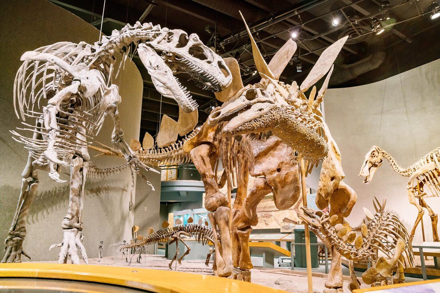 The Best Holiday Gifts From Your Favorite Museums