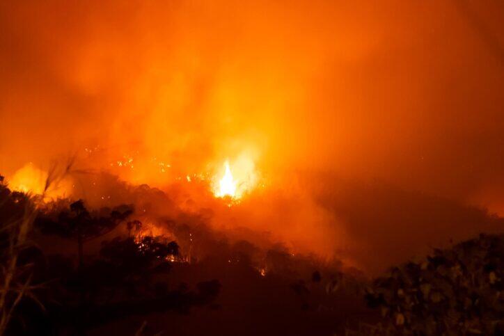 What Is Happening With the Amazon Wildfires in Brazil?