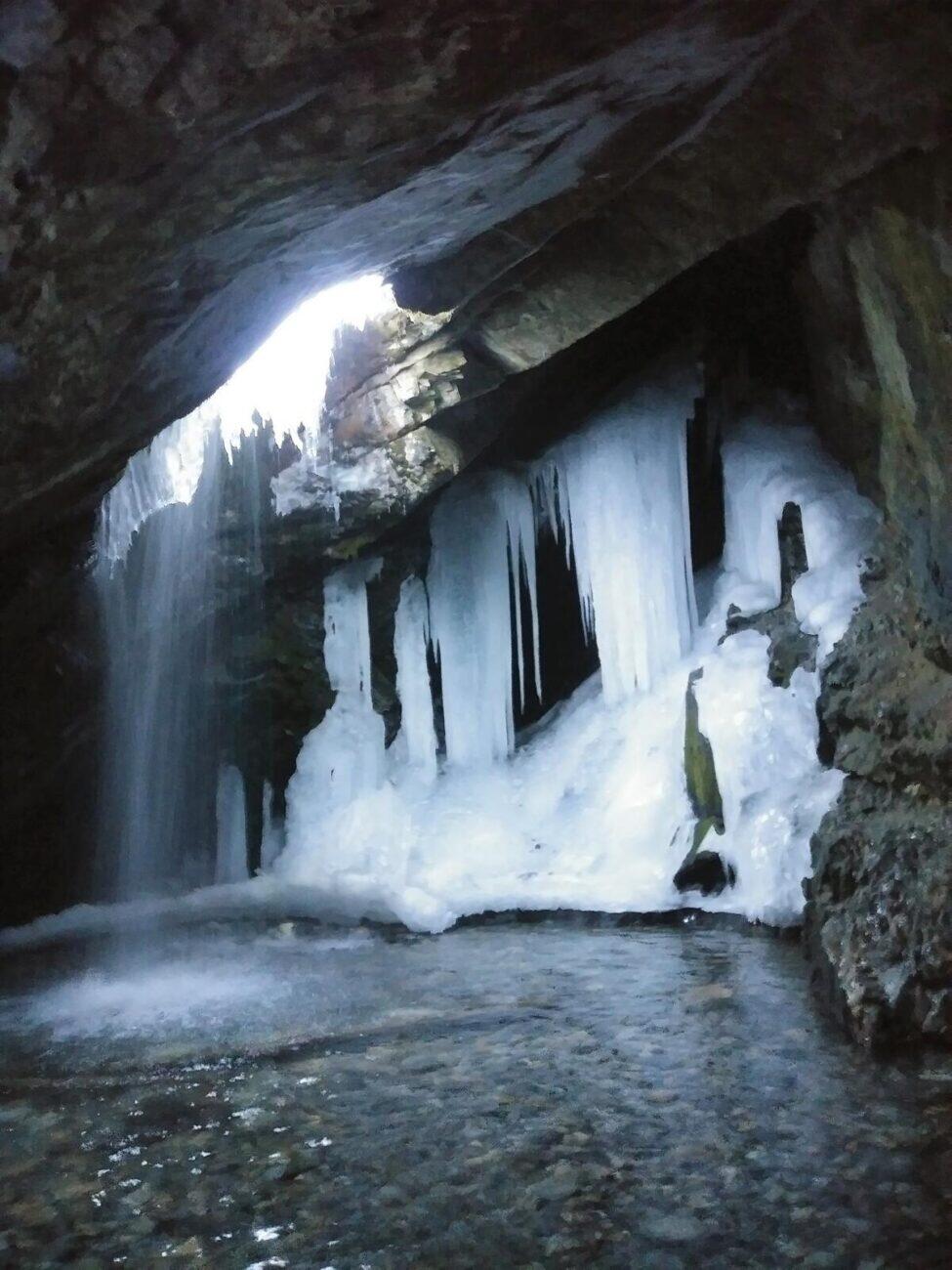 How To Embrace Living in Your Home State