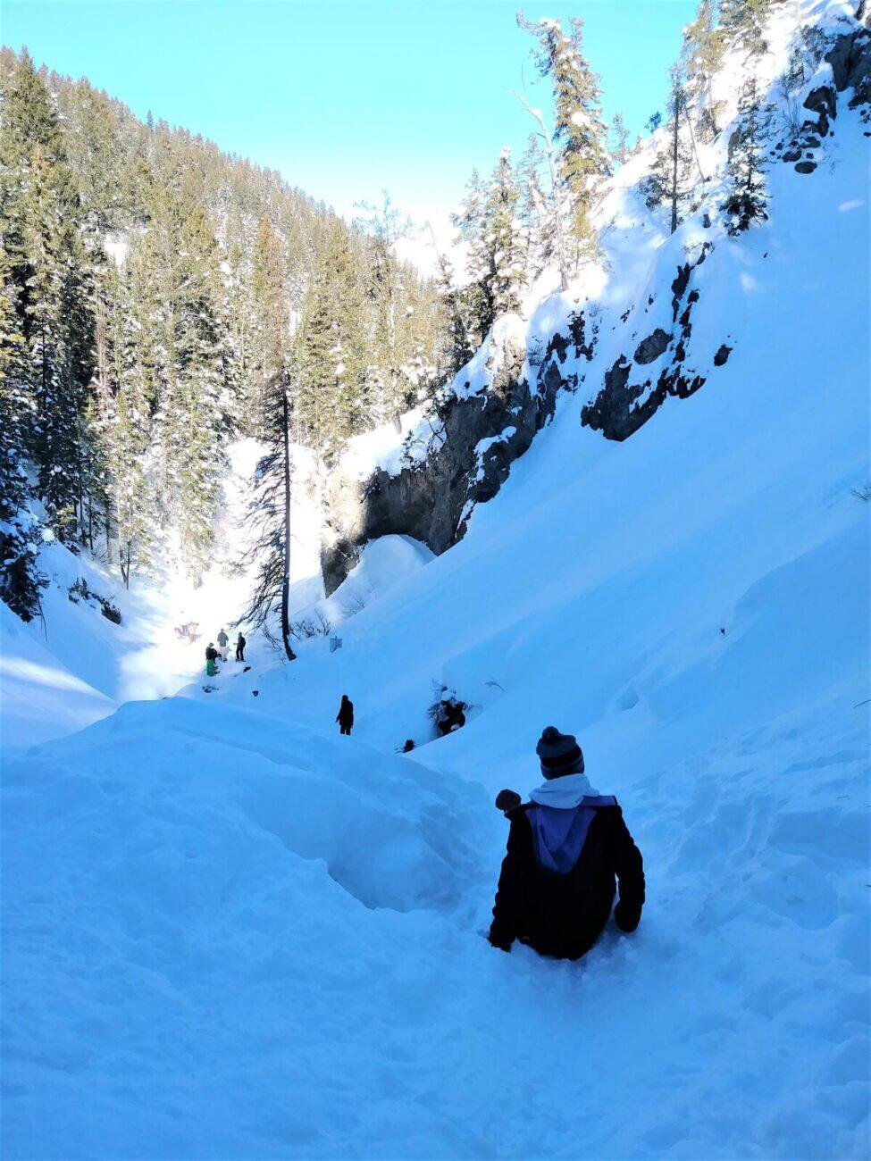 How To Embrace Living in Your Home State