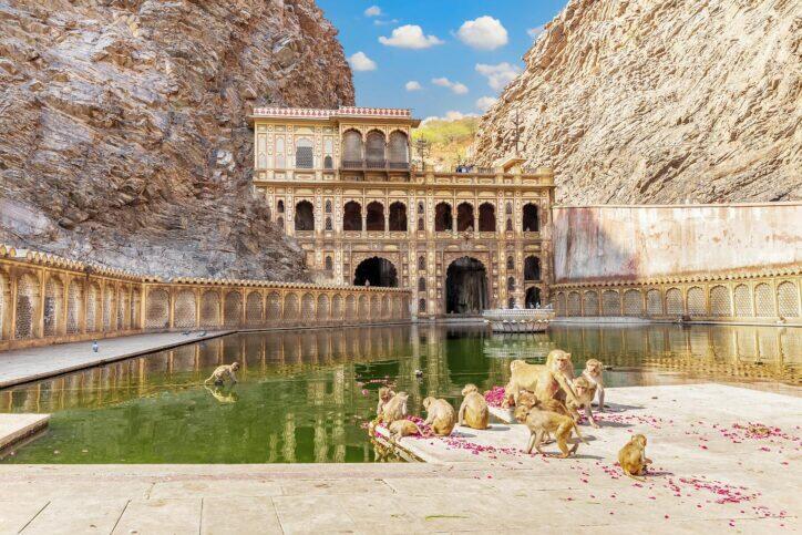 Some of the Most Amazing Animal Temples in India