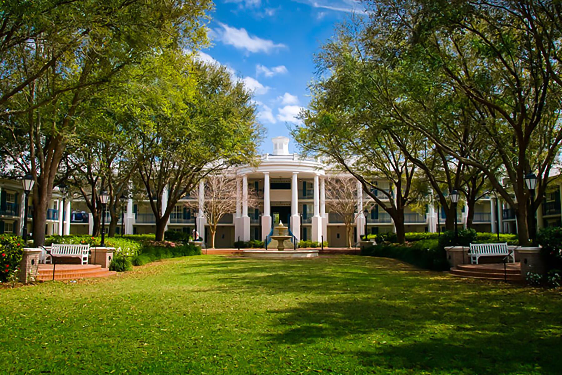 Most Problematic Rides at Disney