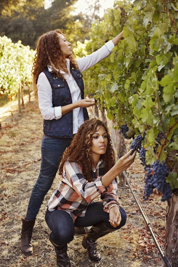 The Story Behind the McBride Sisters Winery