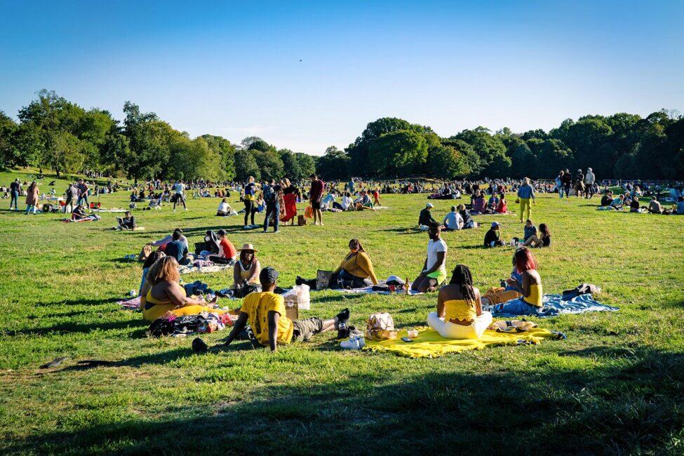 The Best Things to Do in New York City