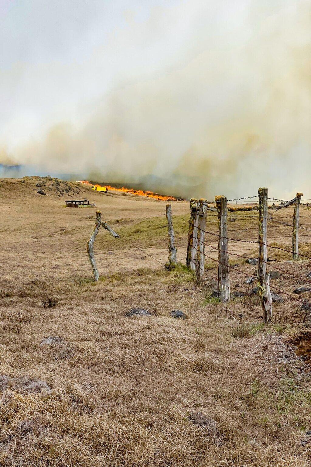 How Indigenous Hawaiians are Coping with the Recent Wild Fires
