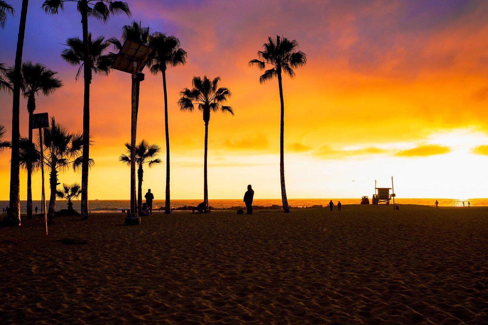 Down and Out in Venice Beach. One Day in an Infamous Spot – Fodors ...