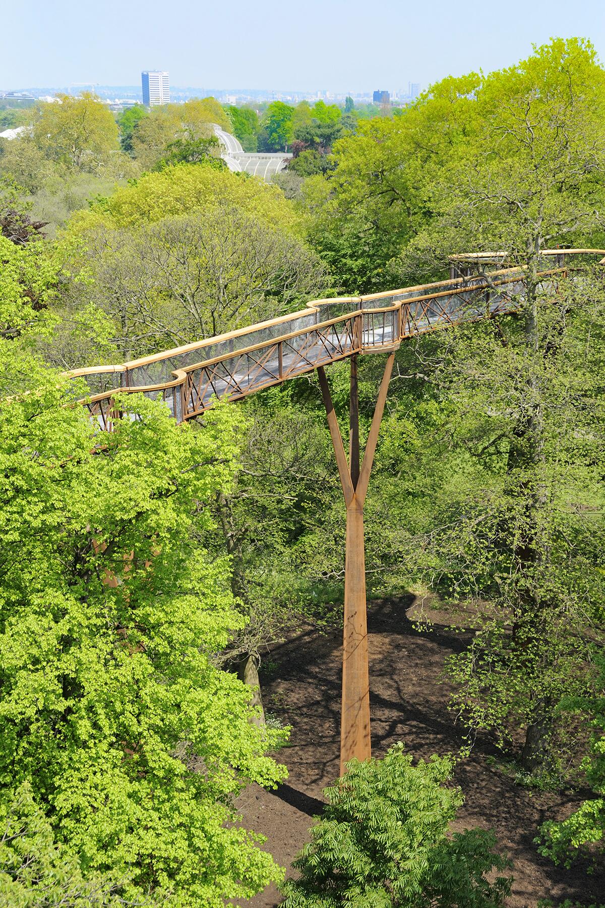 The World’s Best and Most Awe-Inspiring Canopy Walks