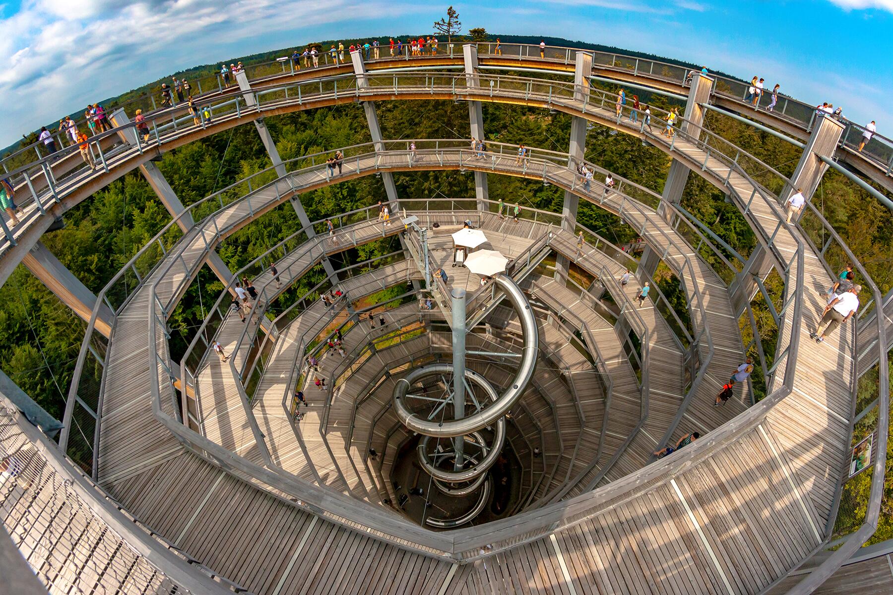 The World’s Best and Most Awe-Inspiring Canopy Walks