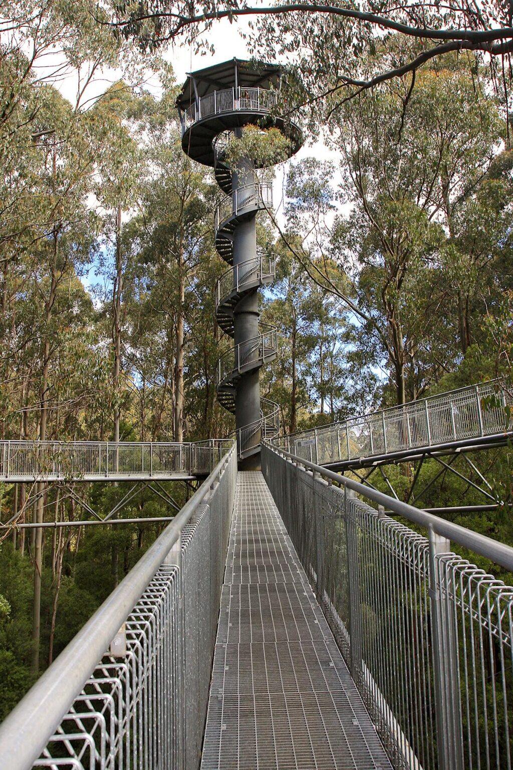 The World’s Best and Most Awe-Inspiring Canopy Walks