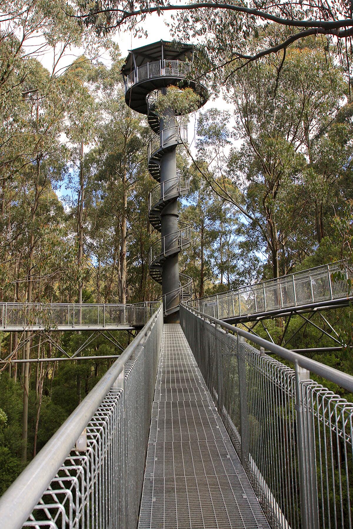 The World’s Best and Most Awe-Inspiring Canopy Walks