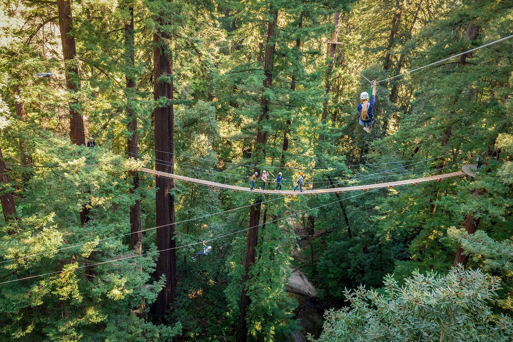 The World’s Best and Most Awe-Inspiring Canopy Walks