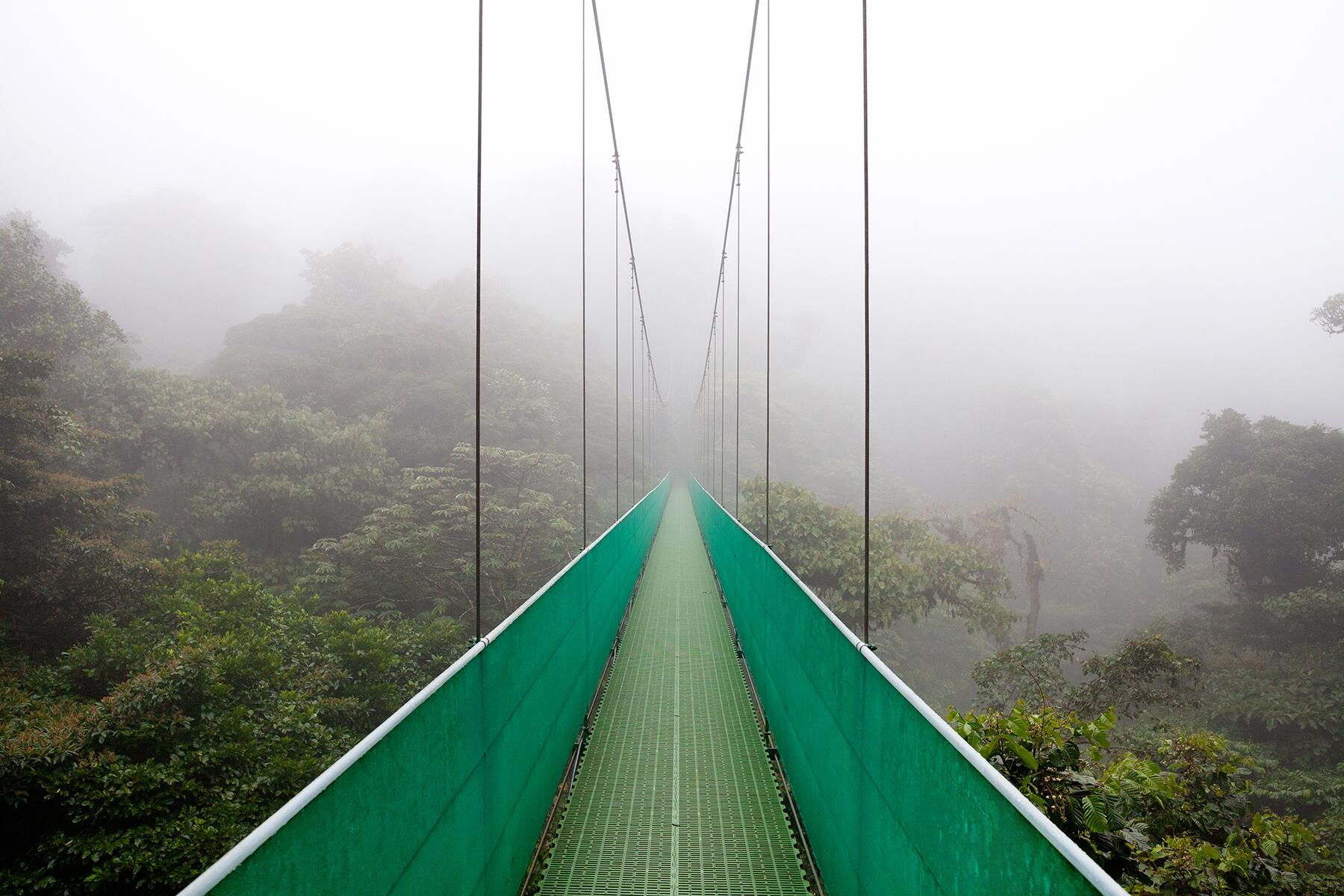 The World’s Best and Most Awe-Inspiring Canopy Walks