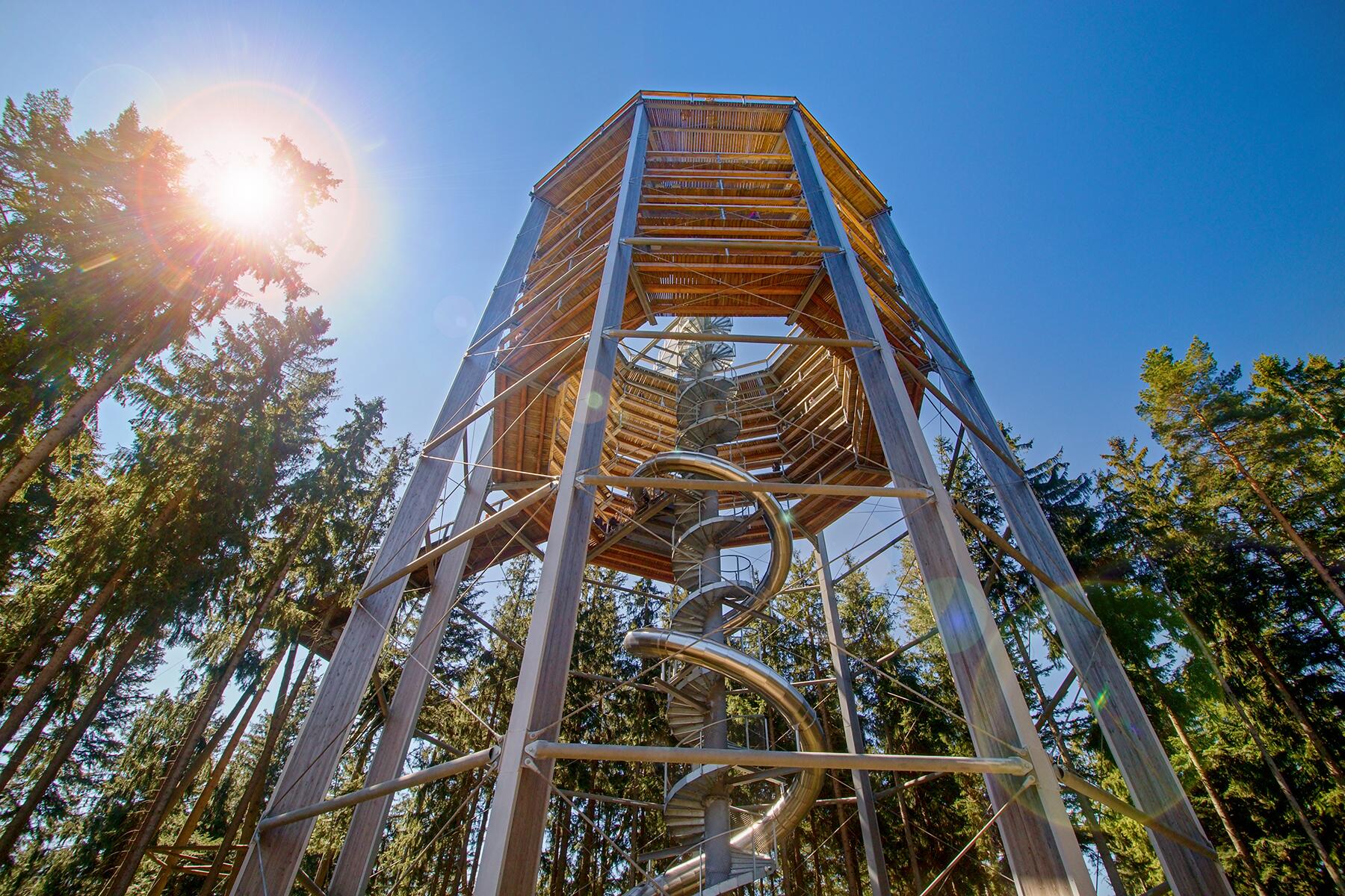 The World’s Best and Most Awe-Inspiring Canopy Walks