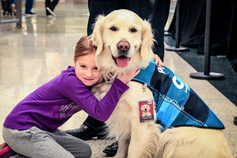 Meet the Therapy Dogs (and Therapy Cat) at Denver International Airport
