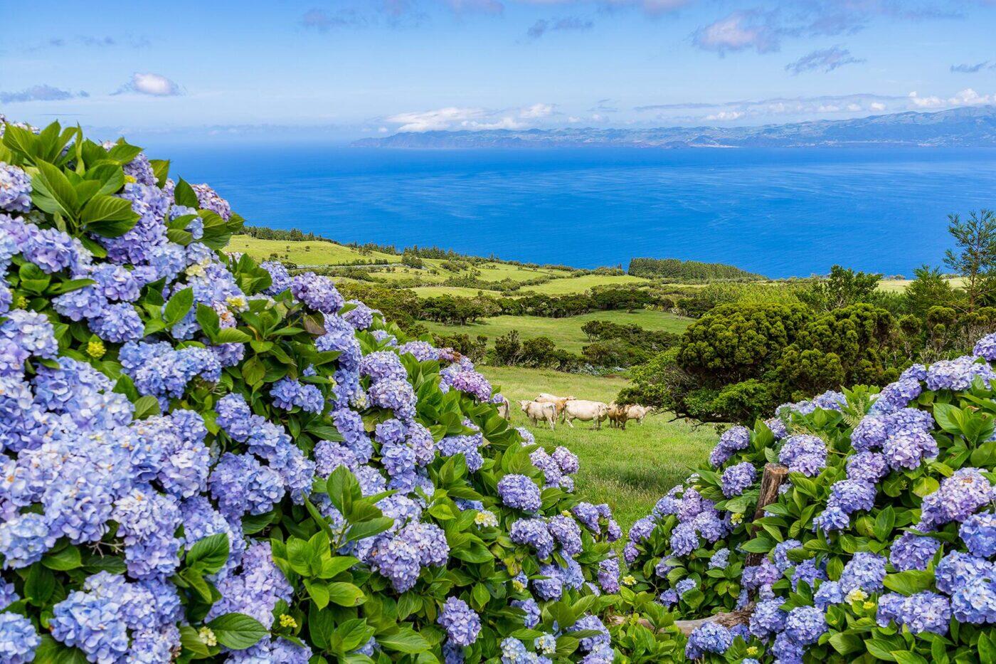 Best Things to Do and See in the Azores, Portugal