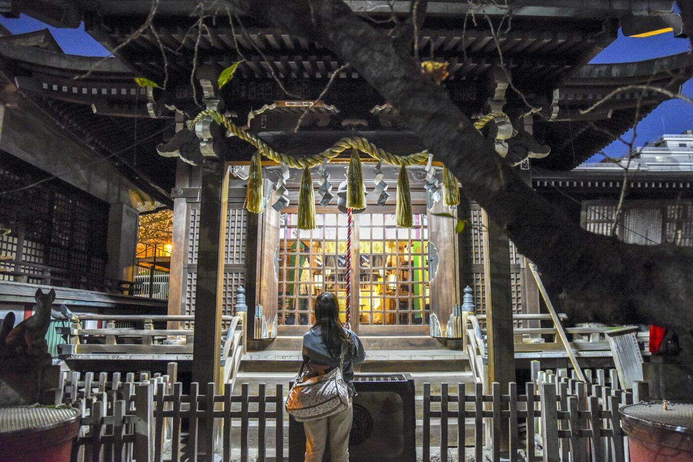 Meeting Japan's Demon Dogs, Inugami