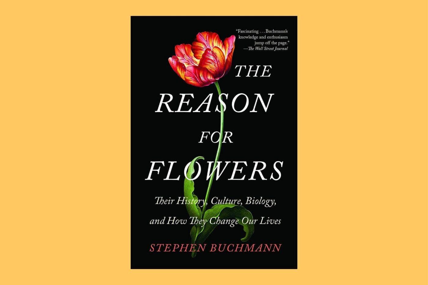 For The Love of Hobbies: 10 Books To Ignite Your Passions