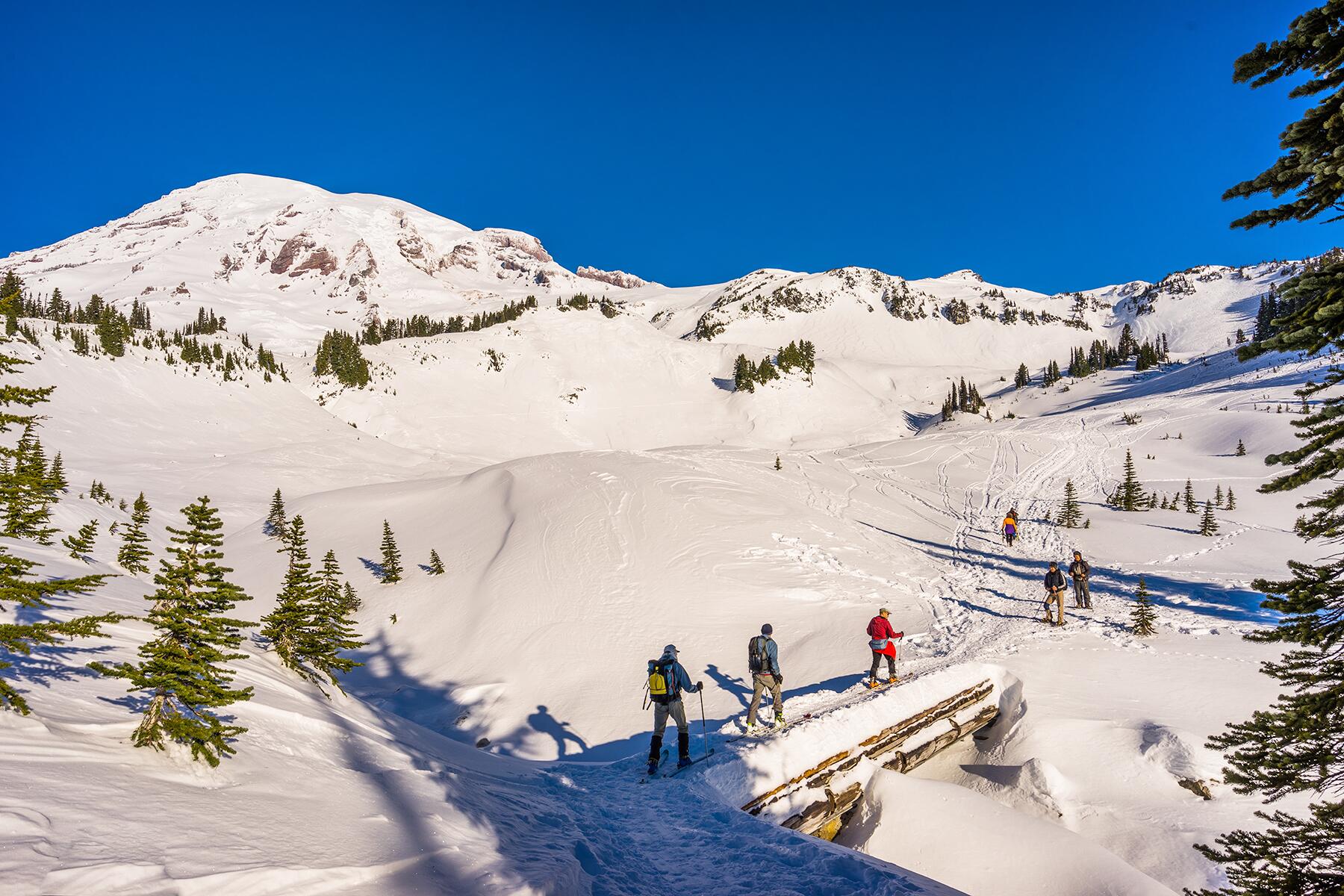 Best Things to See and Do in the Pacific Northwest in the Winter