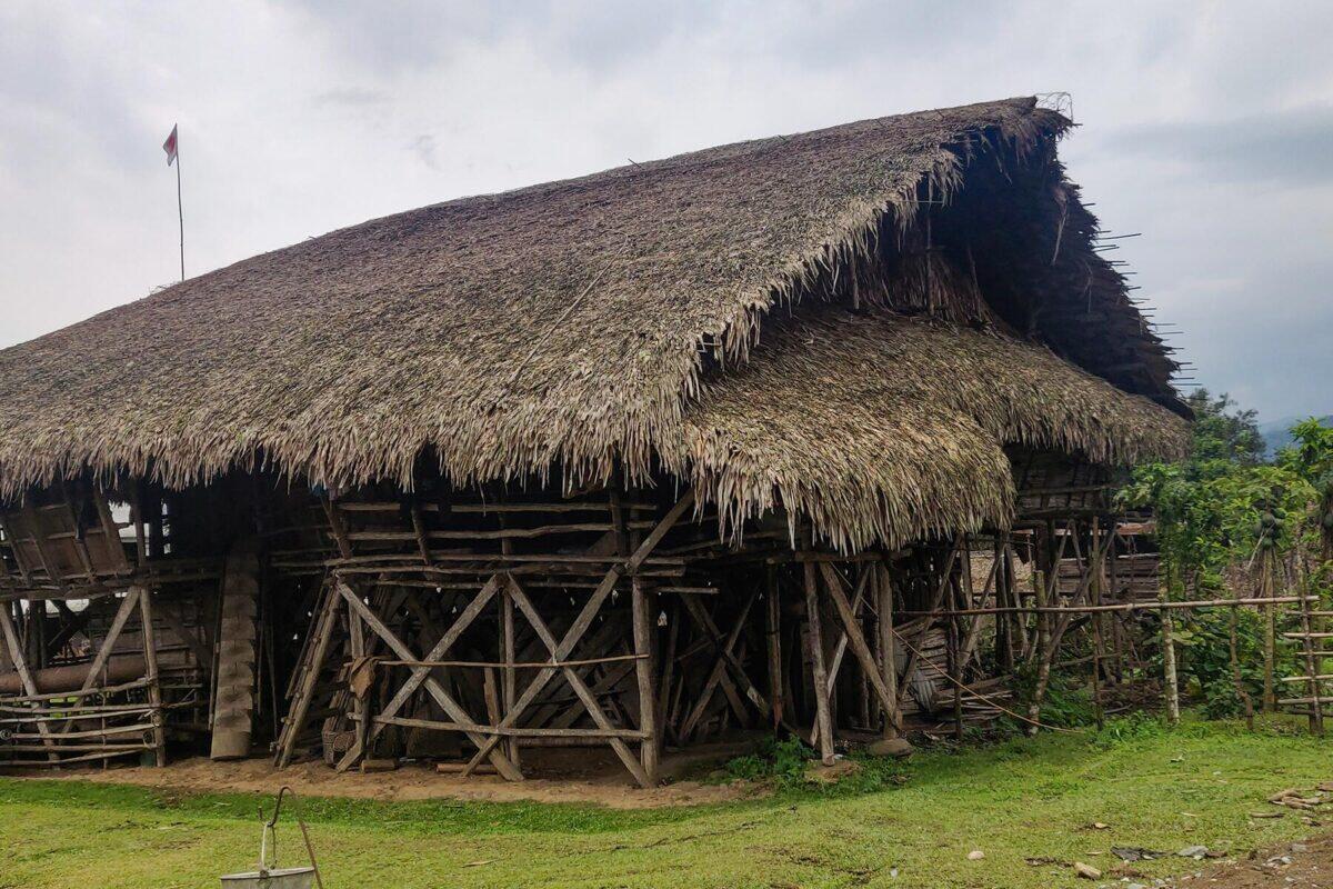 Meet the Forest Spirits of India's Joli Woodlands