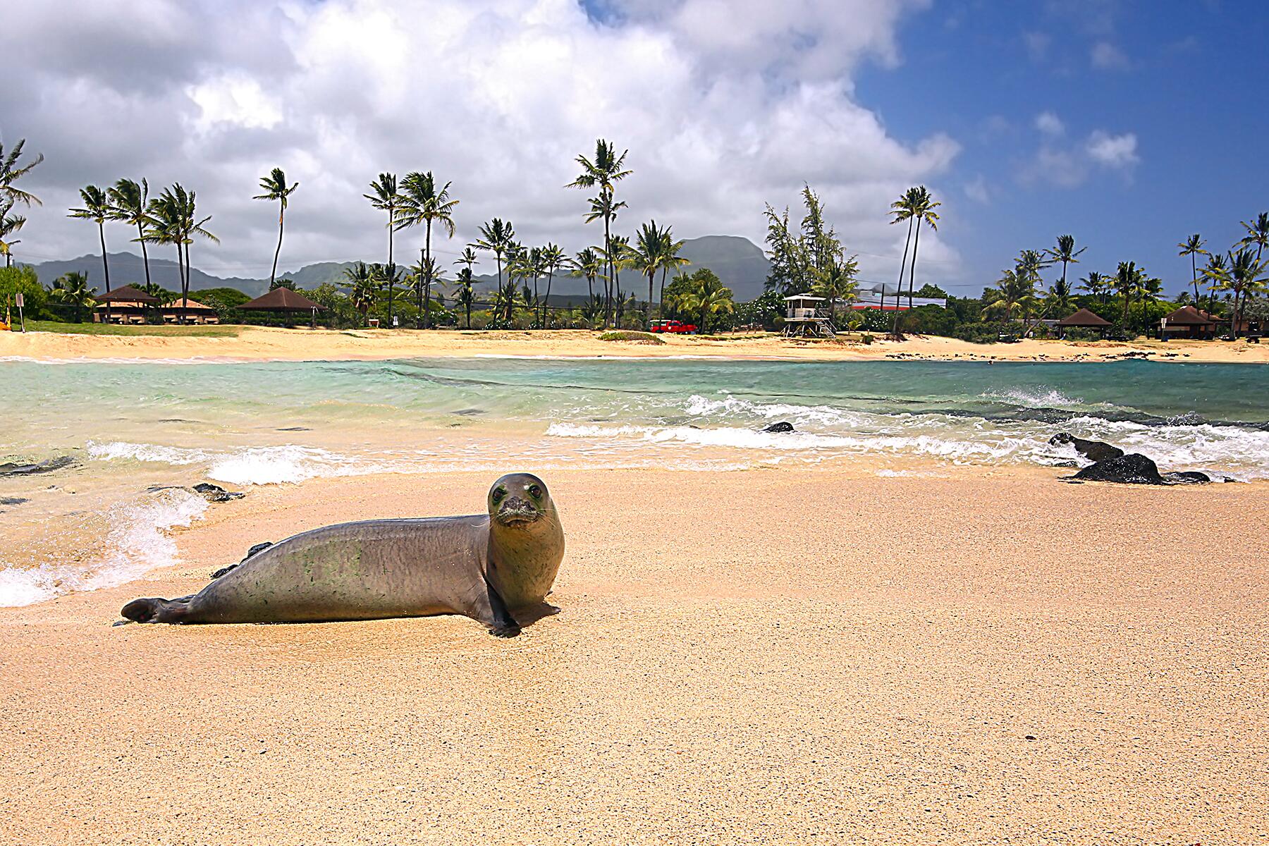 Incidents of Tourists Behaving Poorly While Traveling