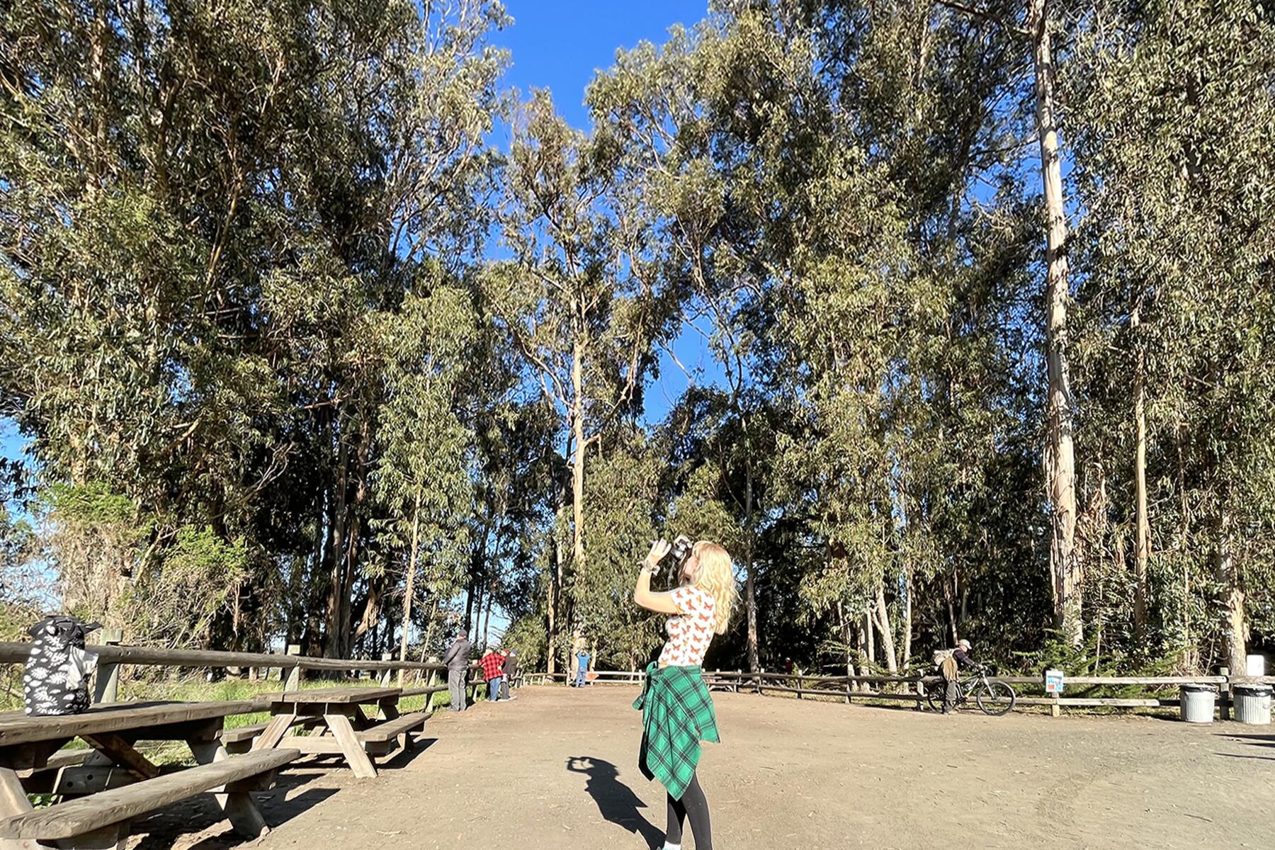 Where to See the Monarch Butterfly Migration in California