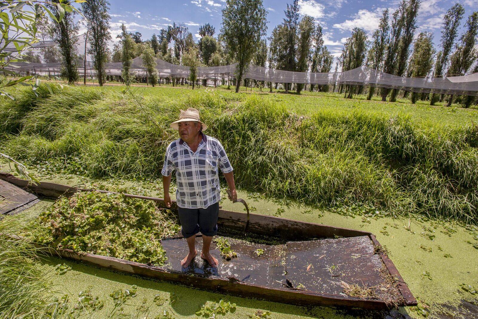 A Complete Guide to Visiting Mexico City's Xochimilco