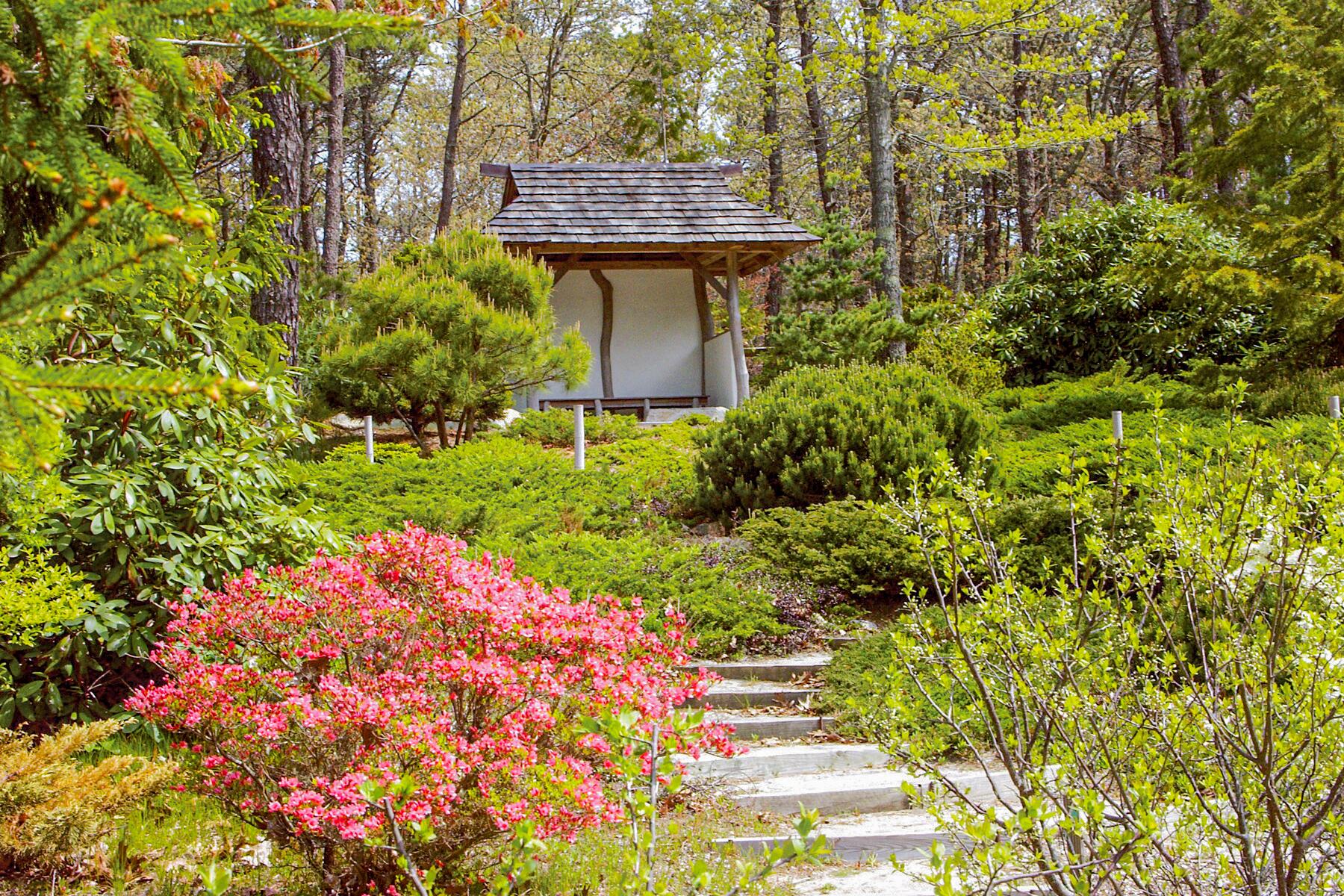 Japanese Gardens Across the United States