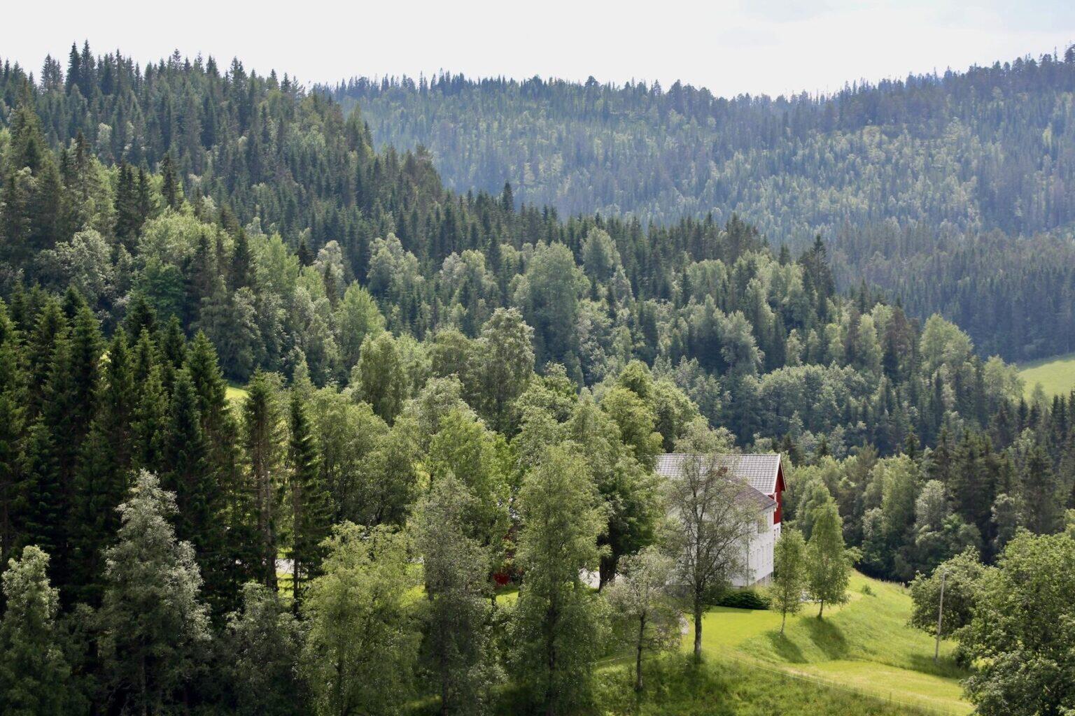 Everything You Need to Know About Traveling Along Norway's Golden Road
