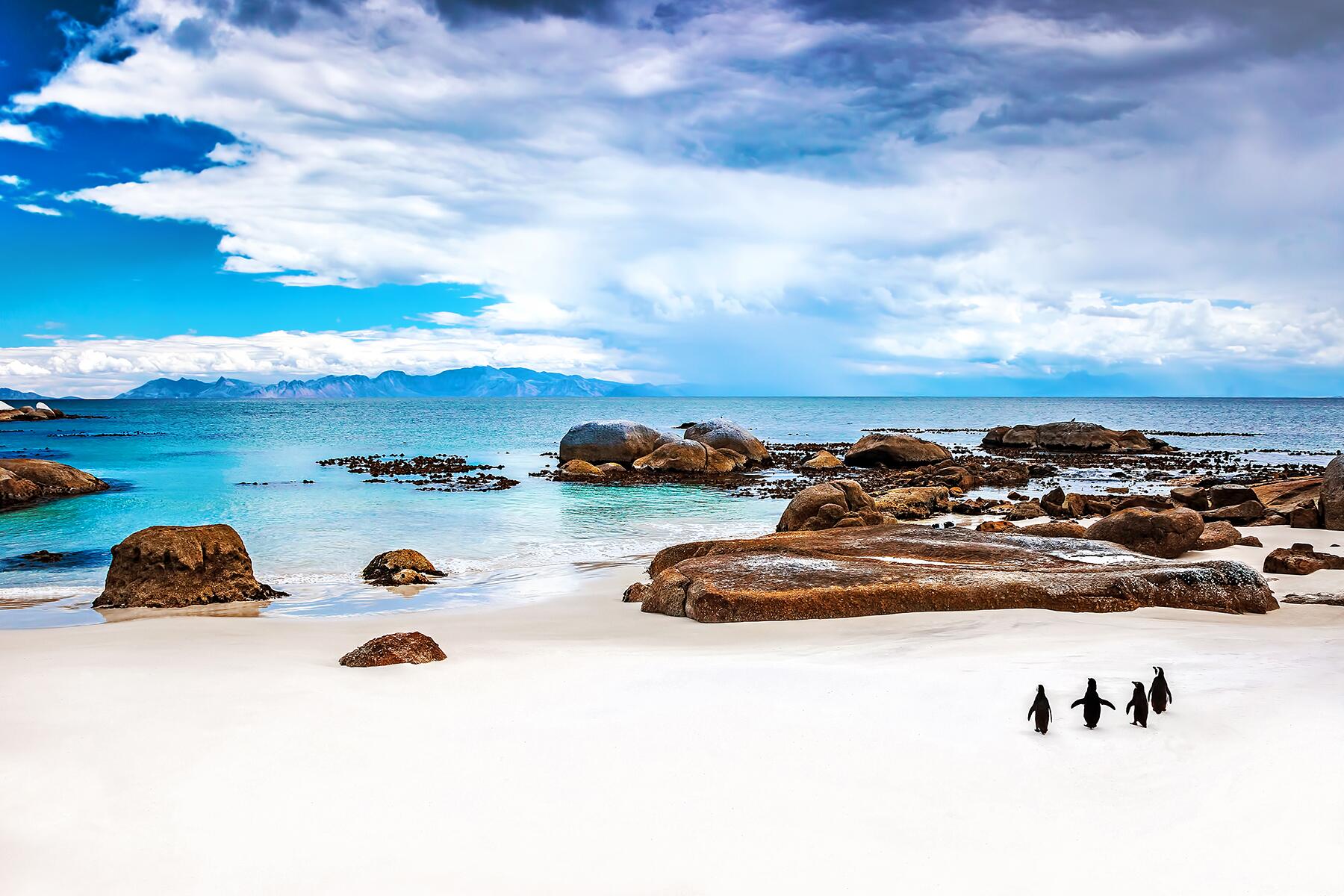 Best Beaches for Wildlife Spotting