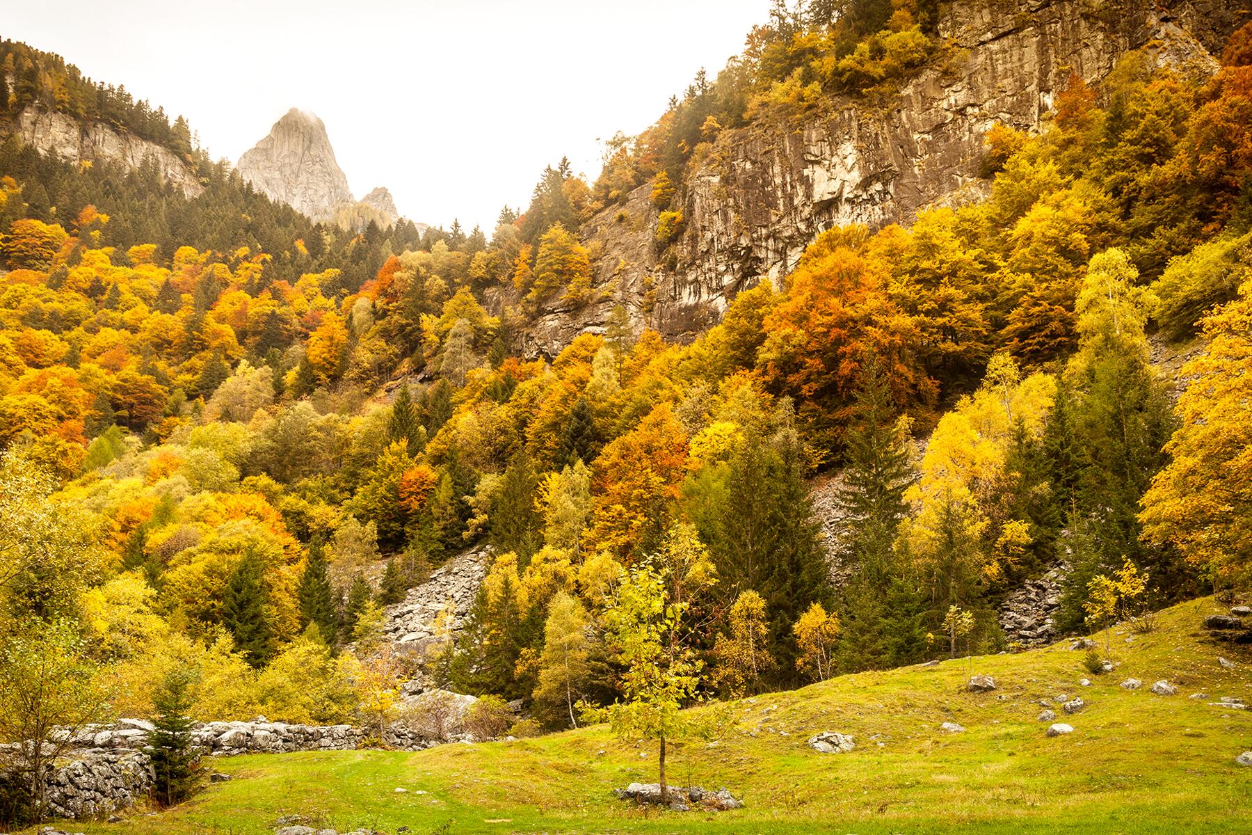 Where to Leaf Peep in Italy this Fall