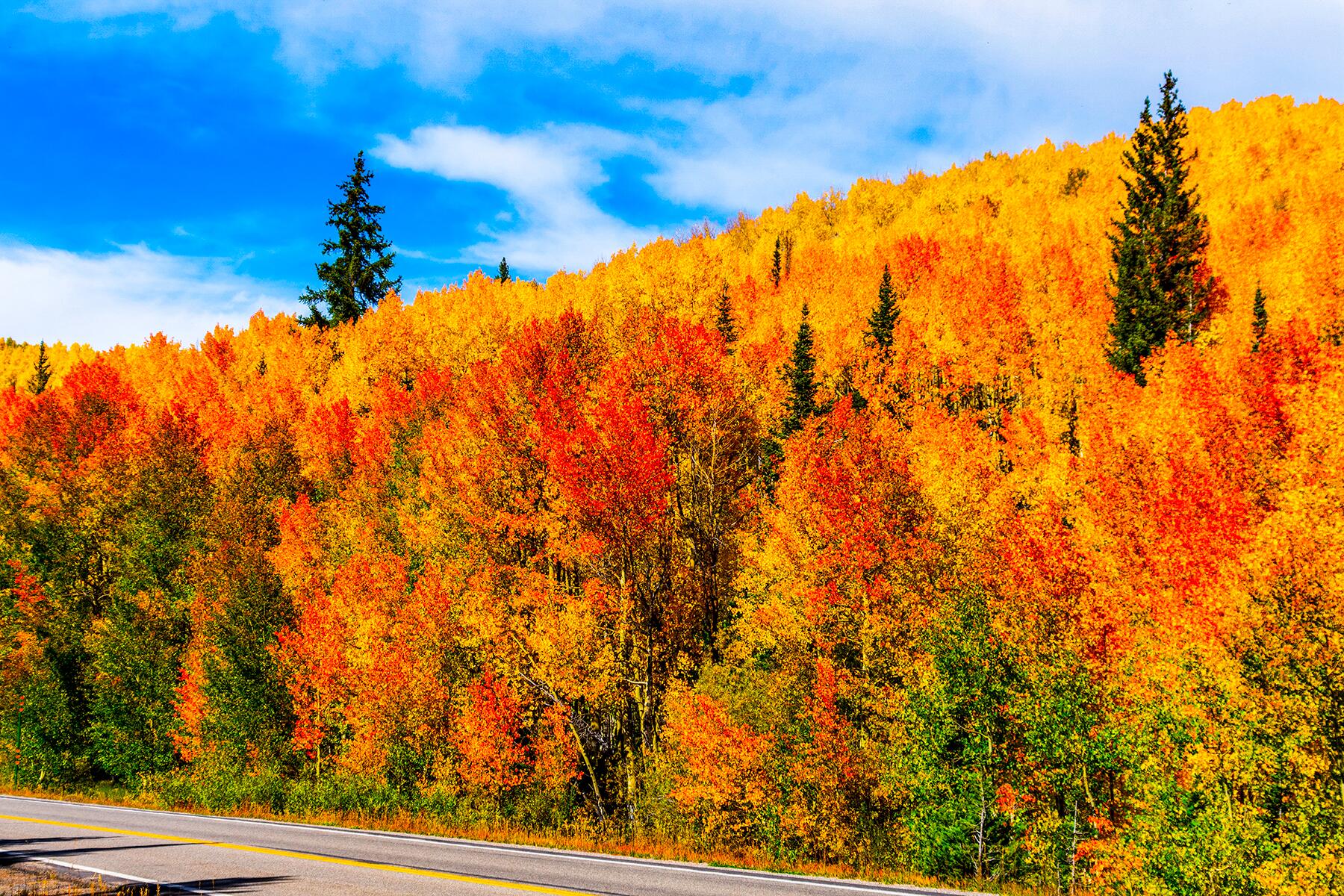 Thirty One Fall Colors 2022