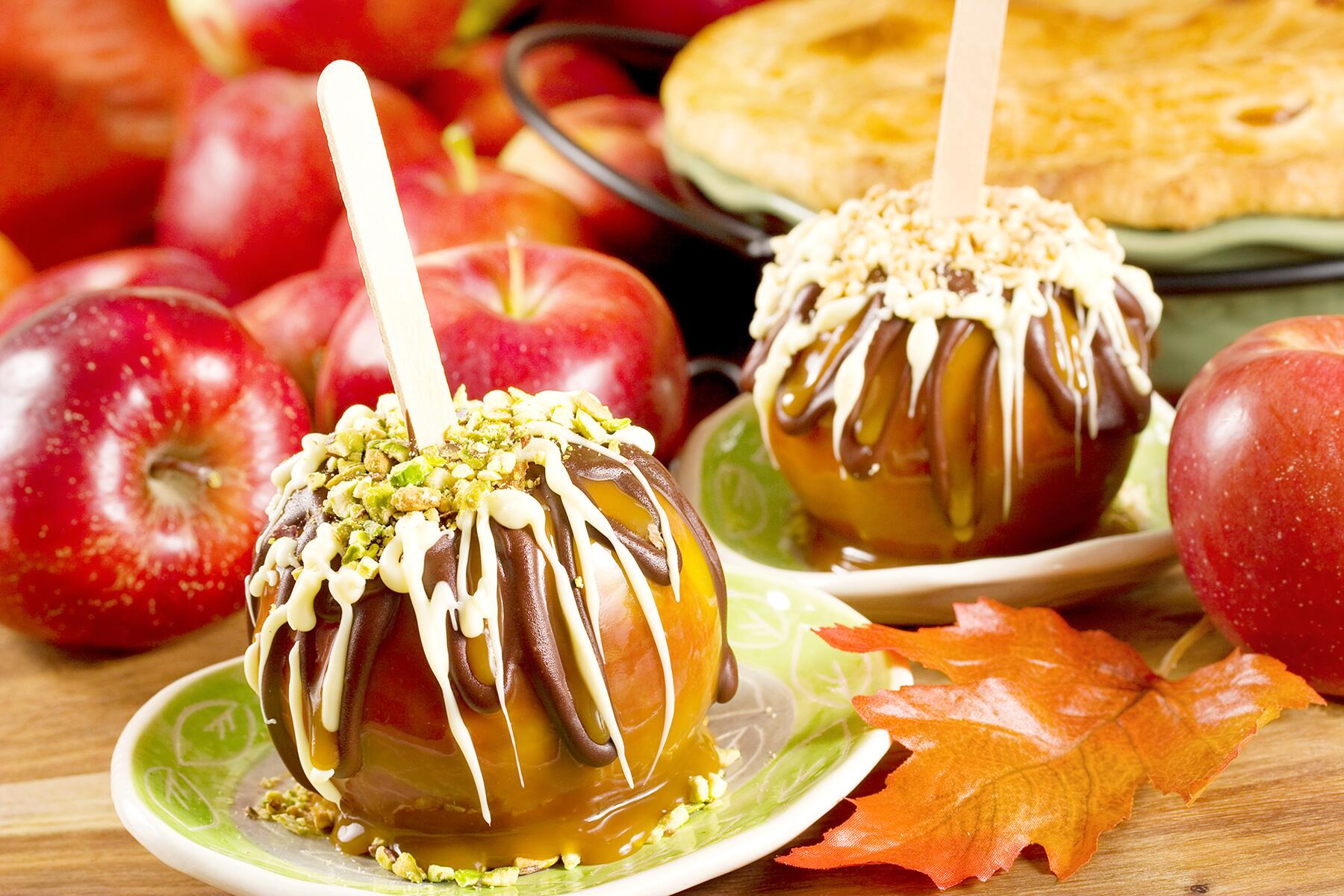 Stories of Your Favorite Fall Foods