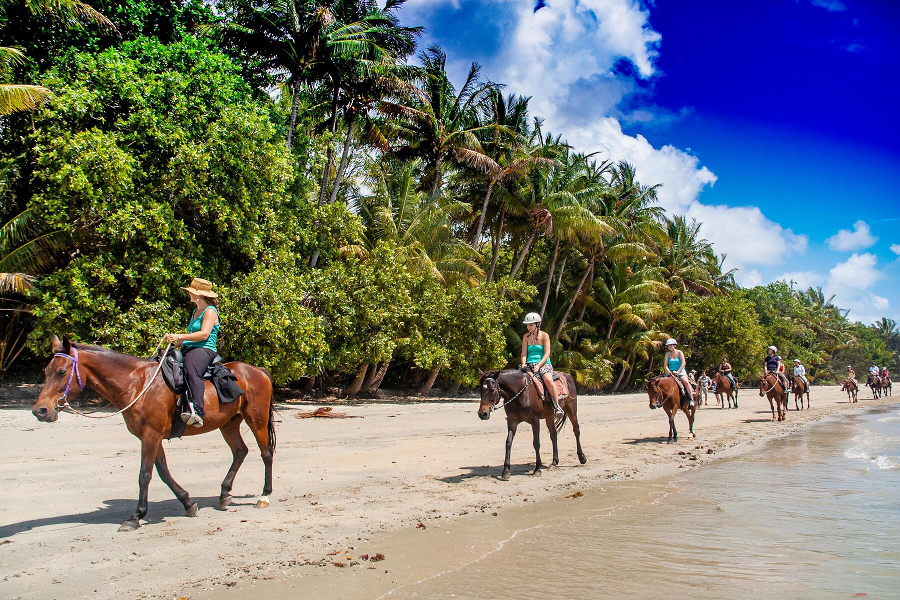 Best Beaches for Wildlife Spotting