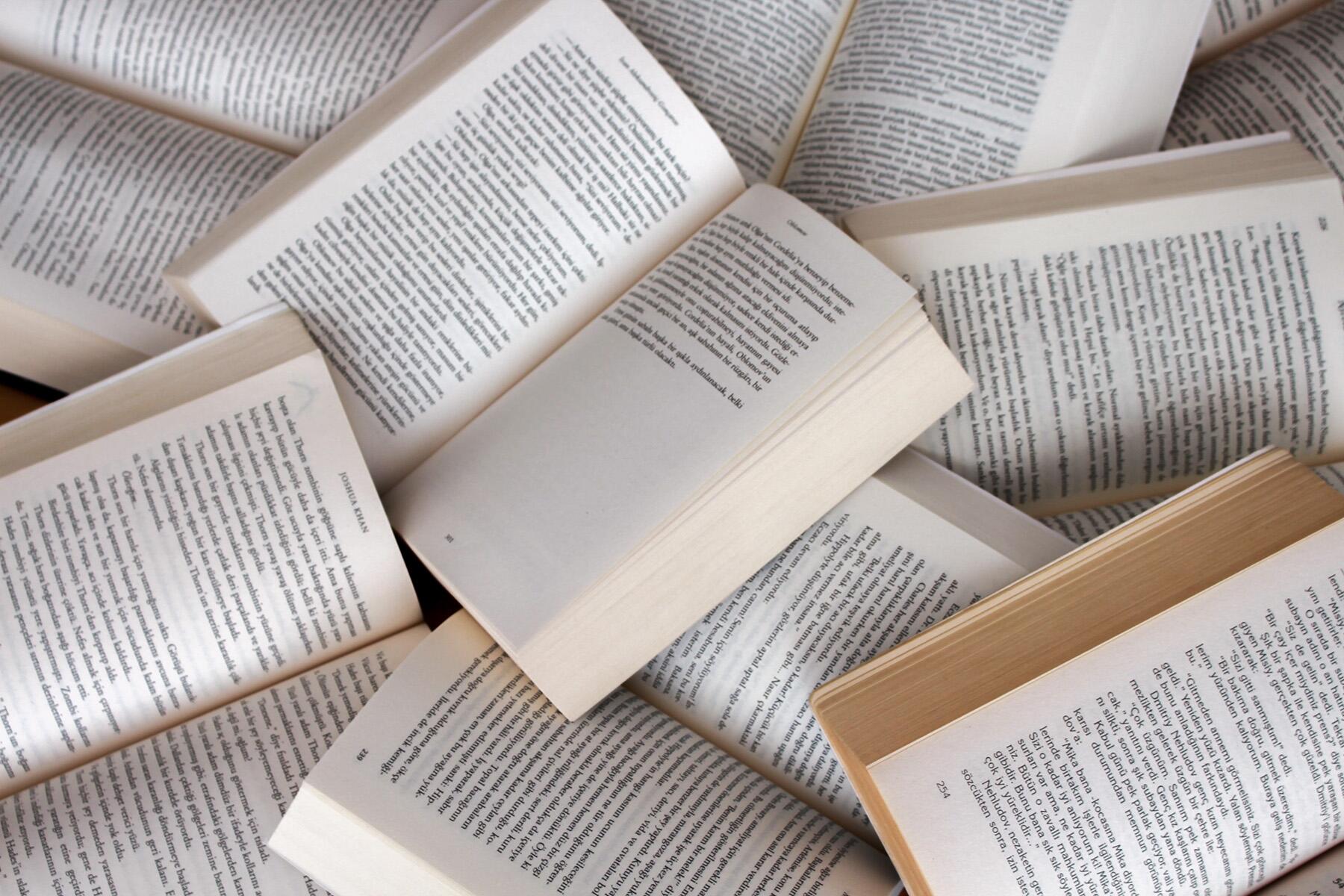 Long Books to Read on Vacation