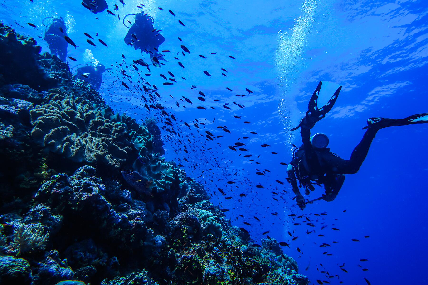 The 10 Scariest Scuba Diving Destinations Around the World