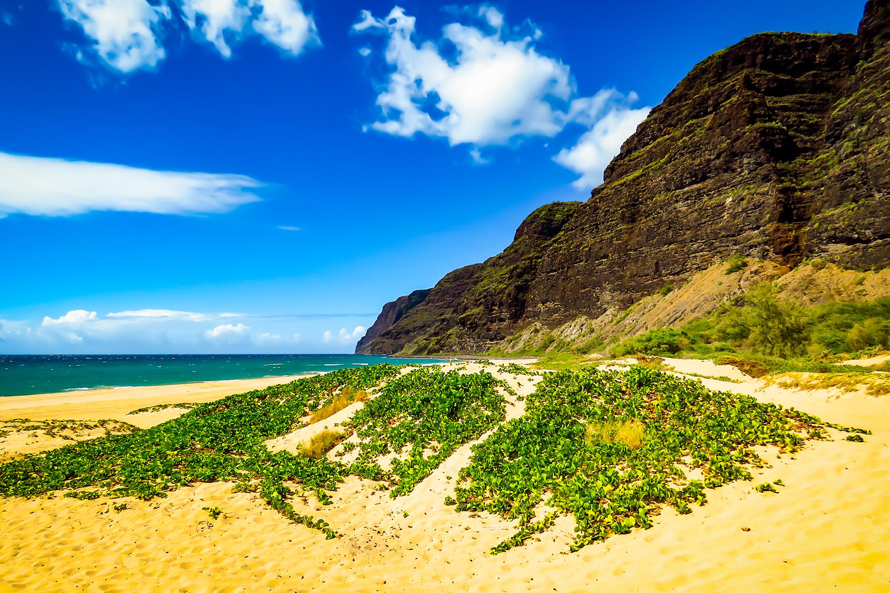 State Parks in the U.S. Where You Can Experience Both the Mountains and ...