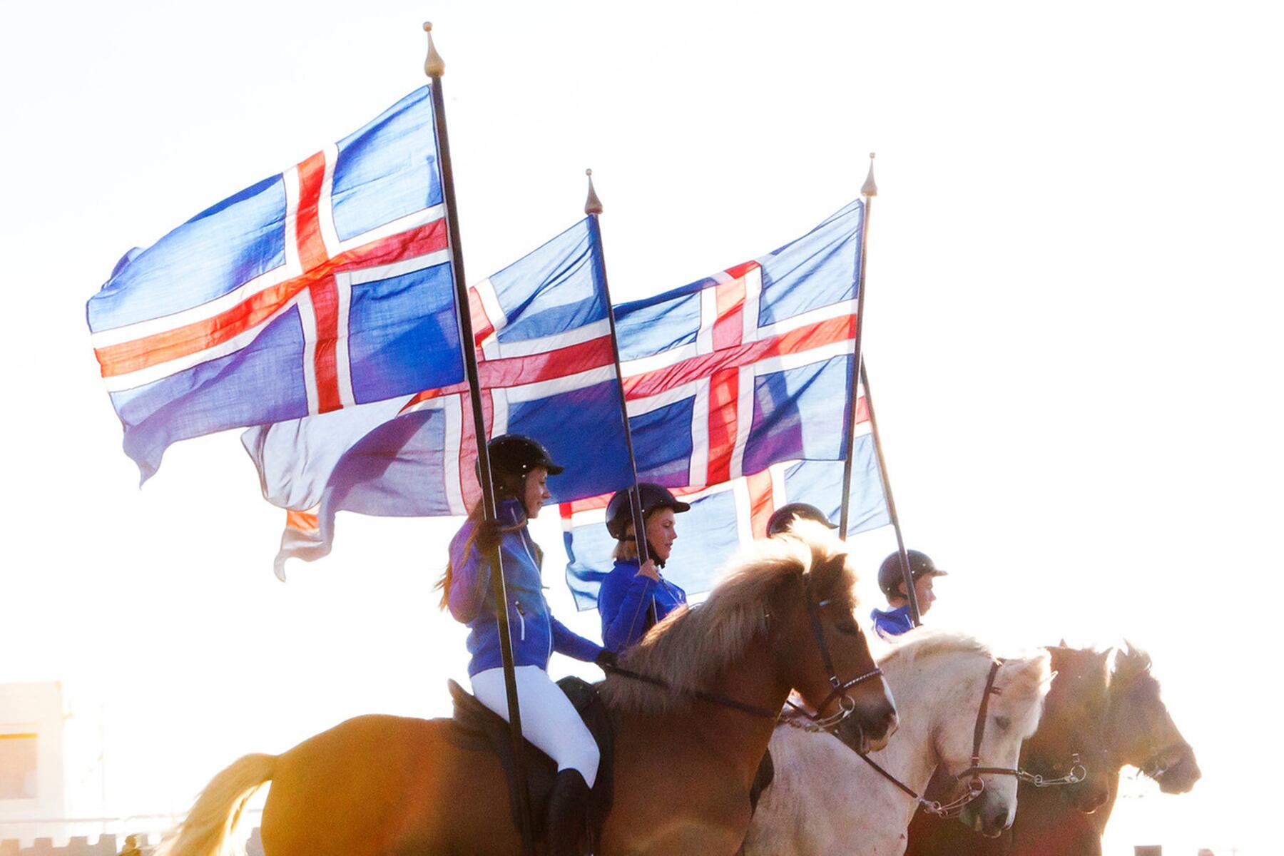 Inside the Landsmót Horse Competition in Iceland