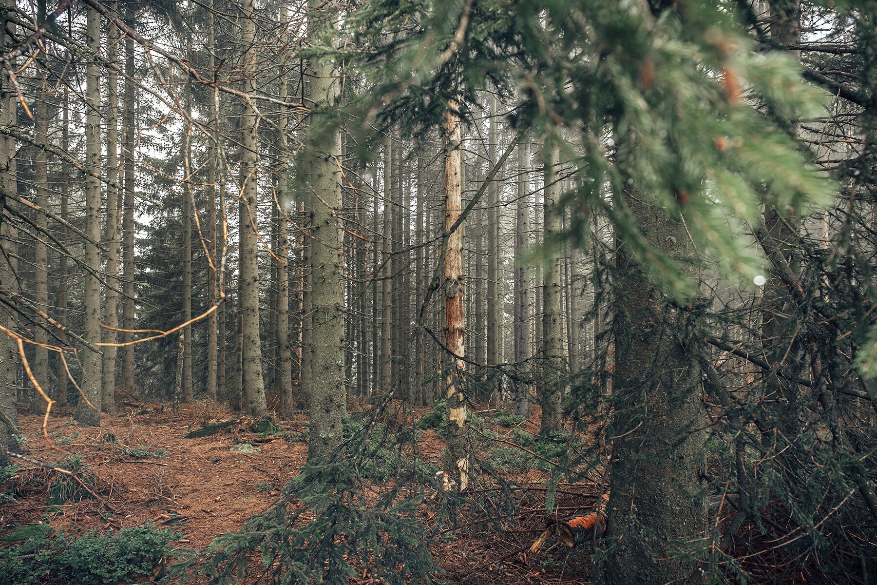 The Most Haunted Abandoned Places in Germany