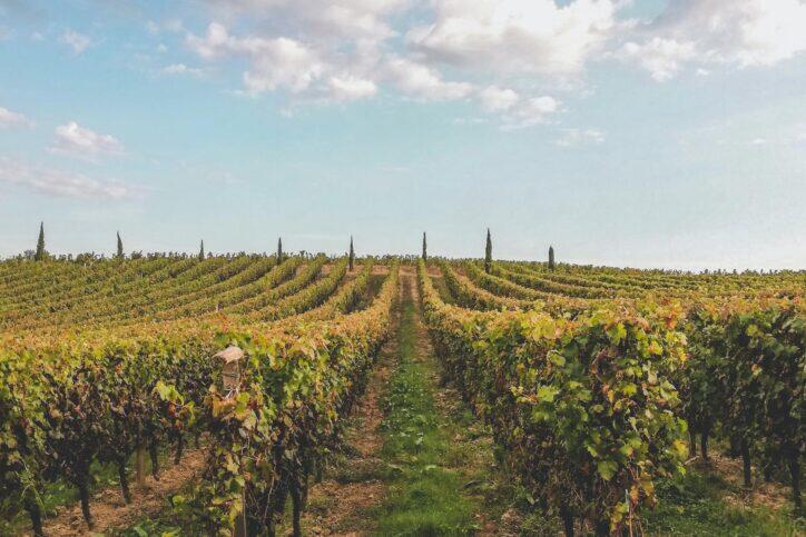 Deal on a Wine Holiday in France: Stay at a Bordeaux Chateau for $590