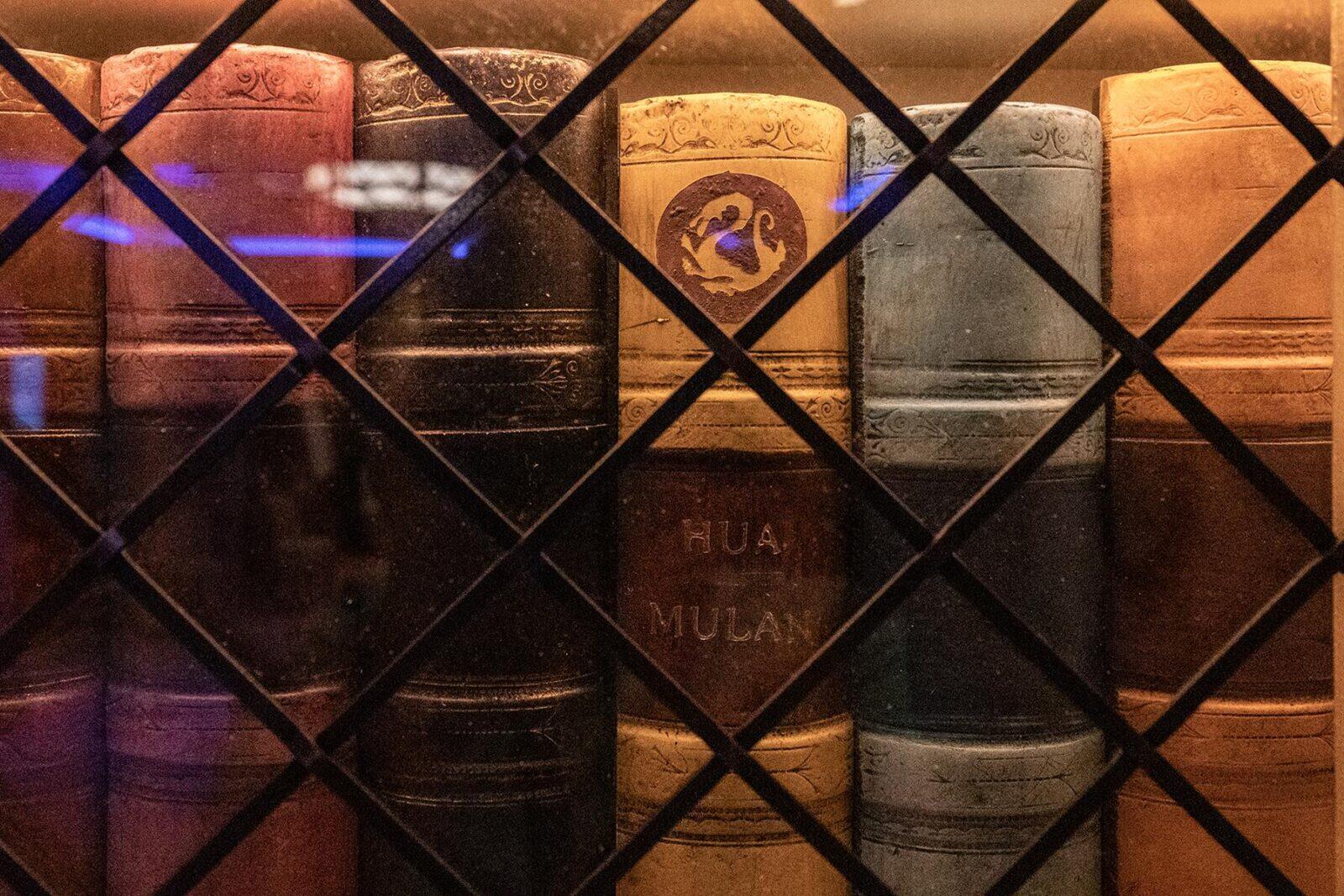 The Best Part of Disney Wish Cruise Ship Is the Library