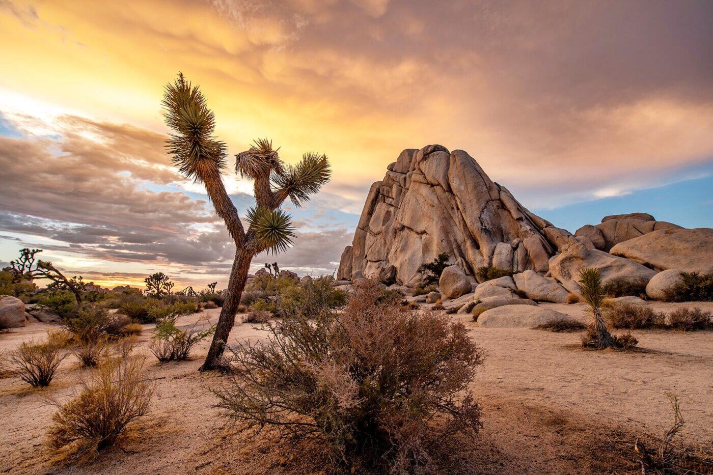 The Best Fall Day Trips to Take From Los Angeles