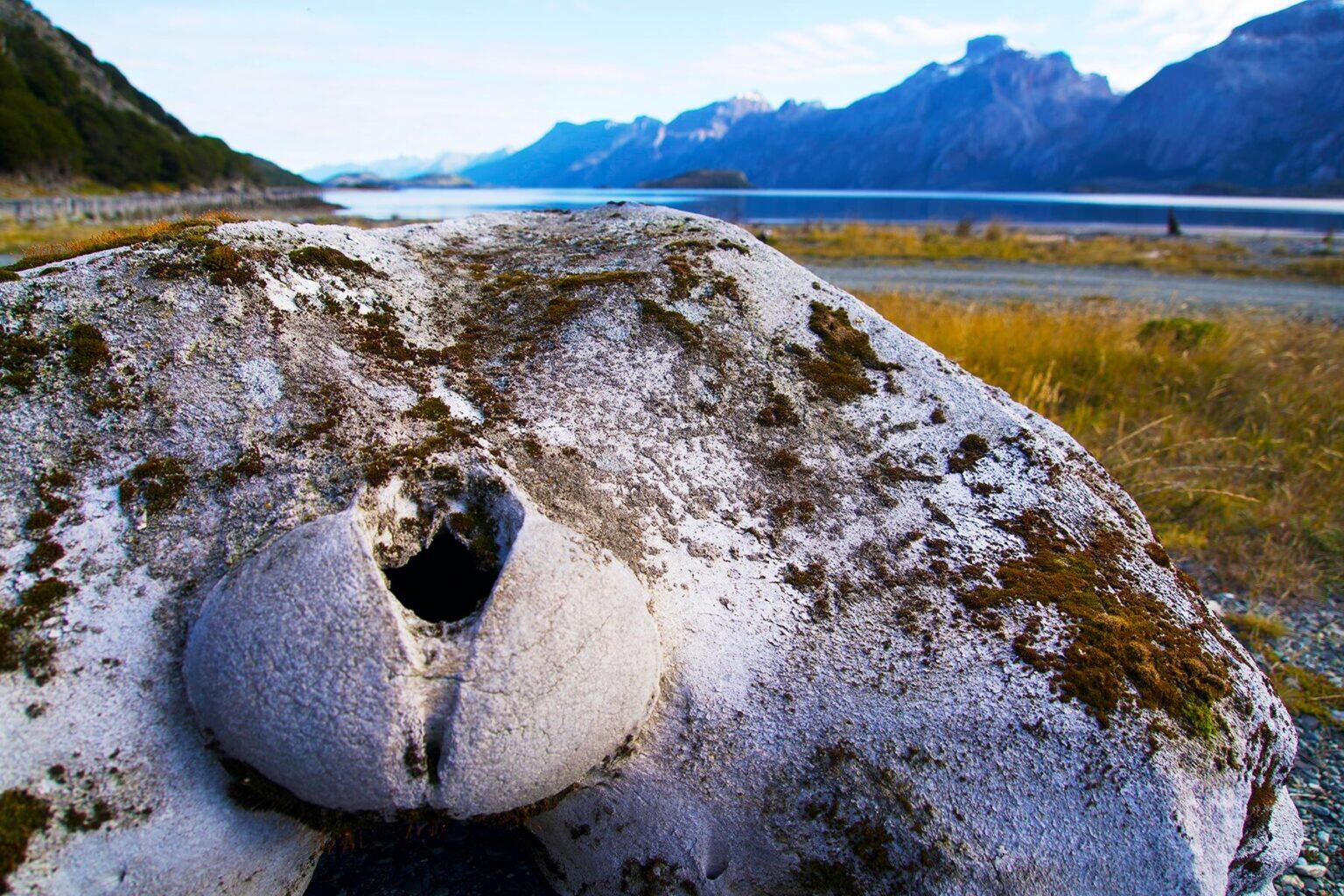 How Chile's Indigenous Population Fights for Historic Preservation