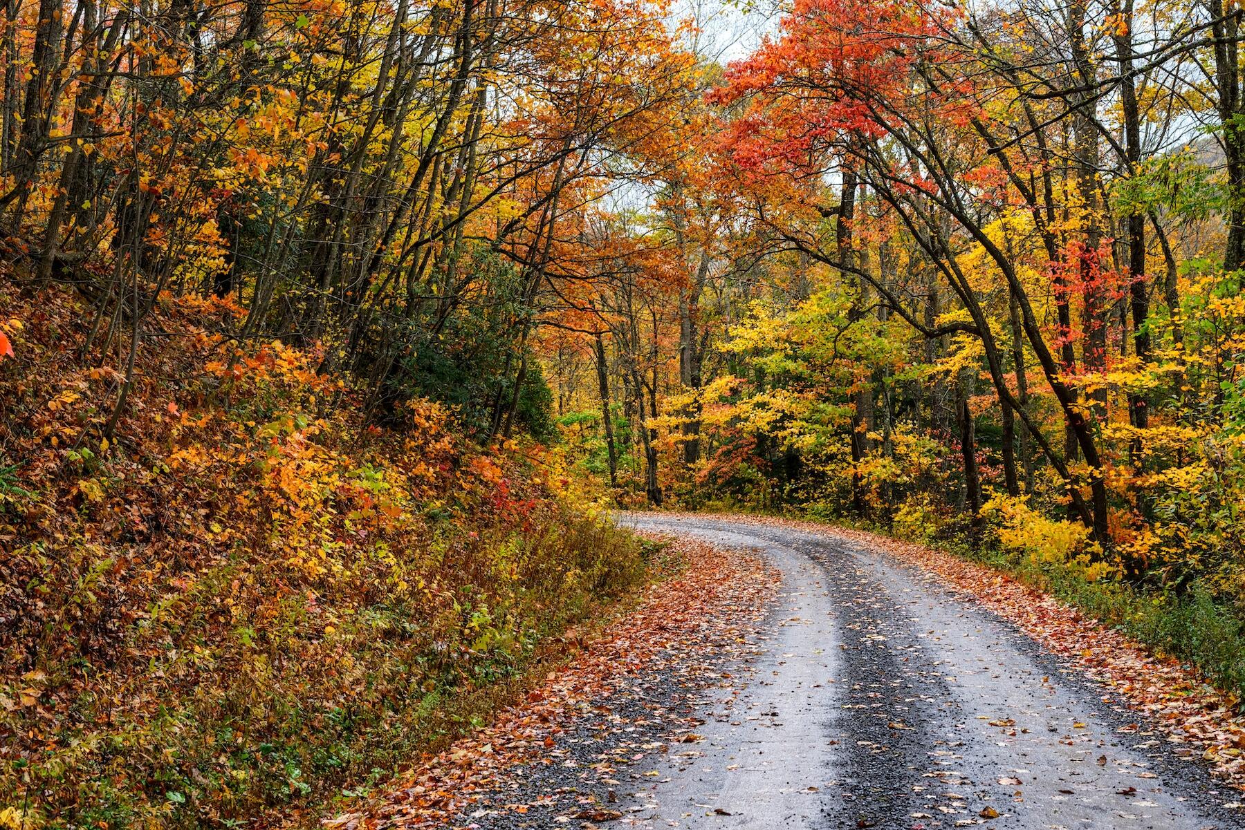 One of the Best U.S. States for a Fall Vacation Is West Virginia