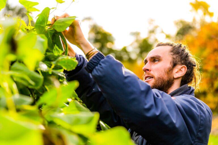 Inside Findhorn, an Eco-Village in Scotland