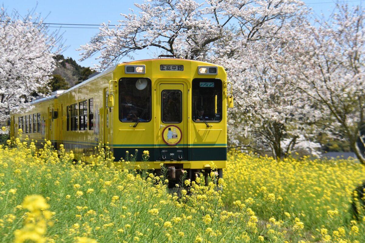 The Best Railway Train Trips in Japan