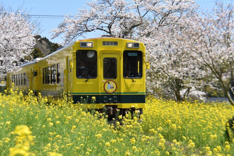 The Best Railway Train Trips in Japan
