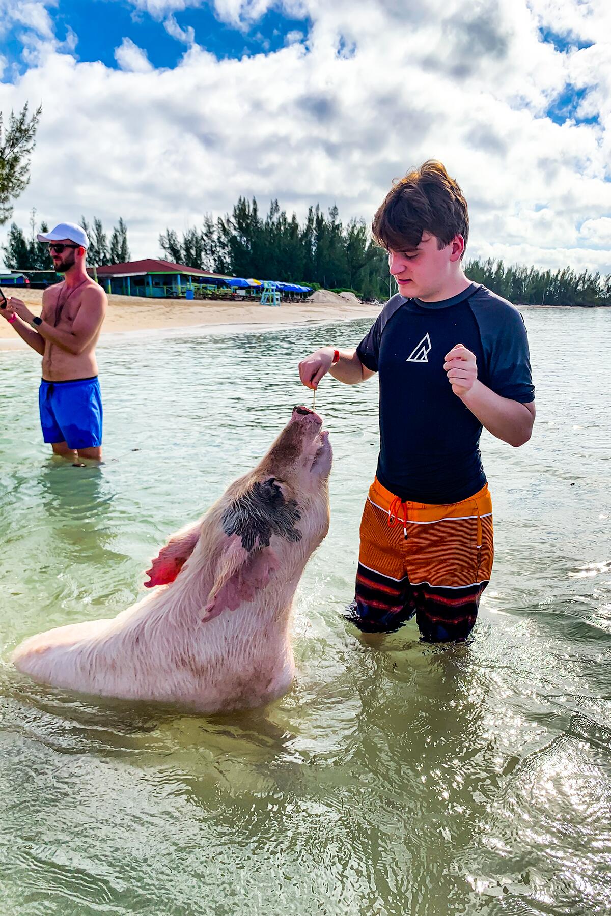 Should You Swim With the Pigs in the Bahamas?