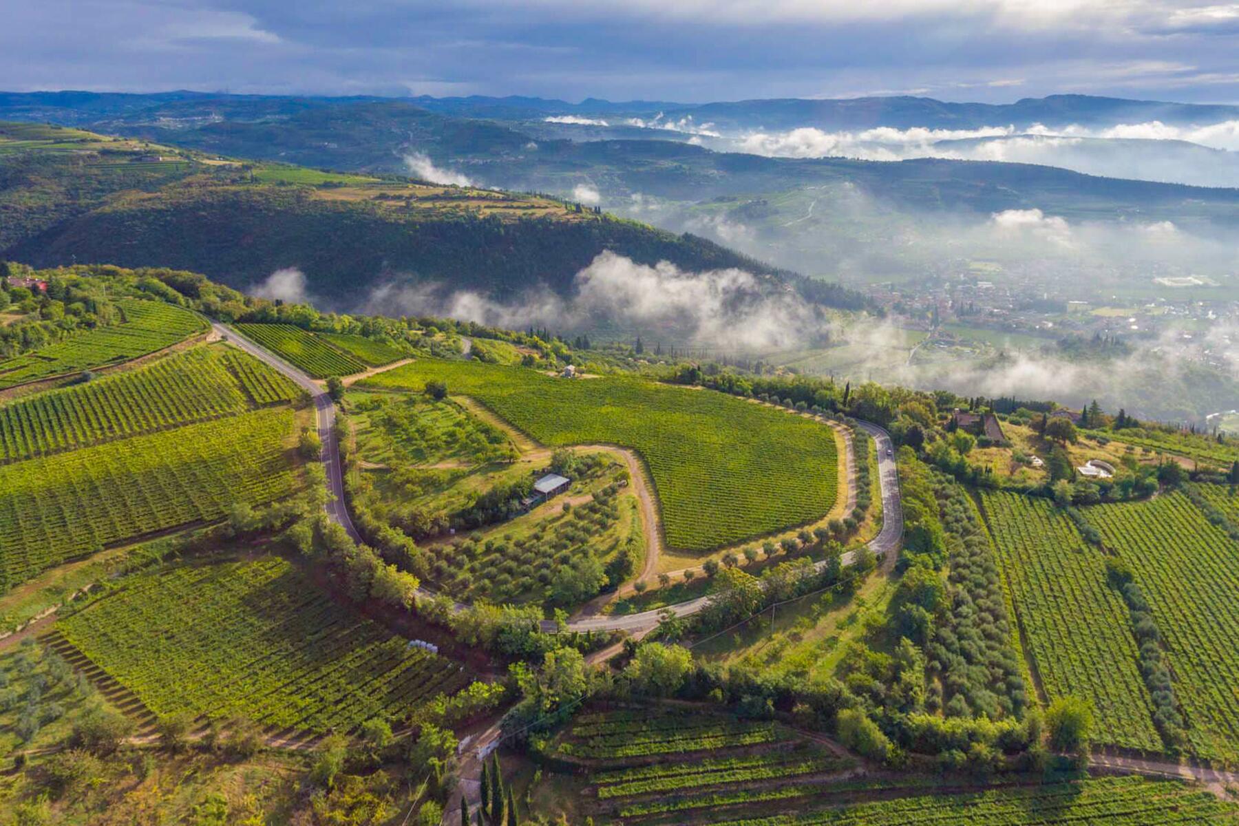 Italian Wineries to Visit