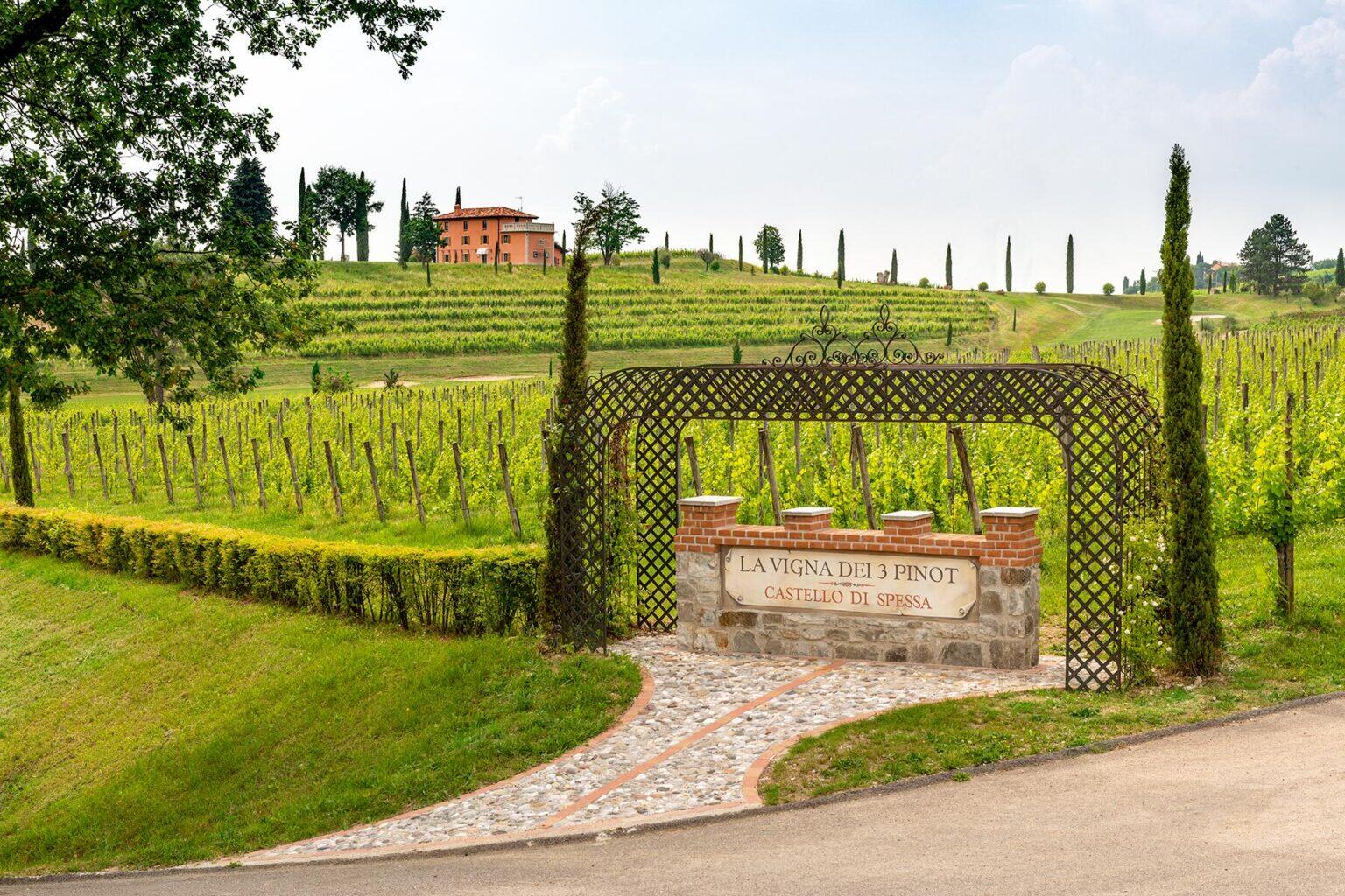 Italian Wineries to Visit