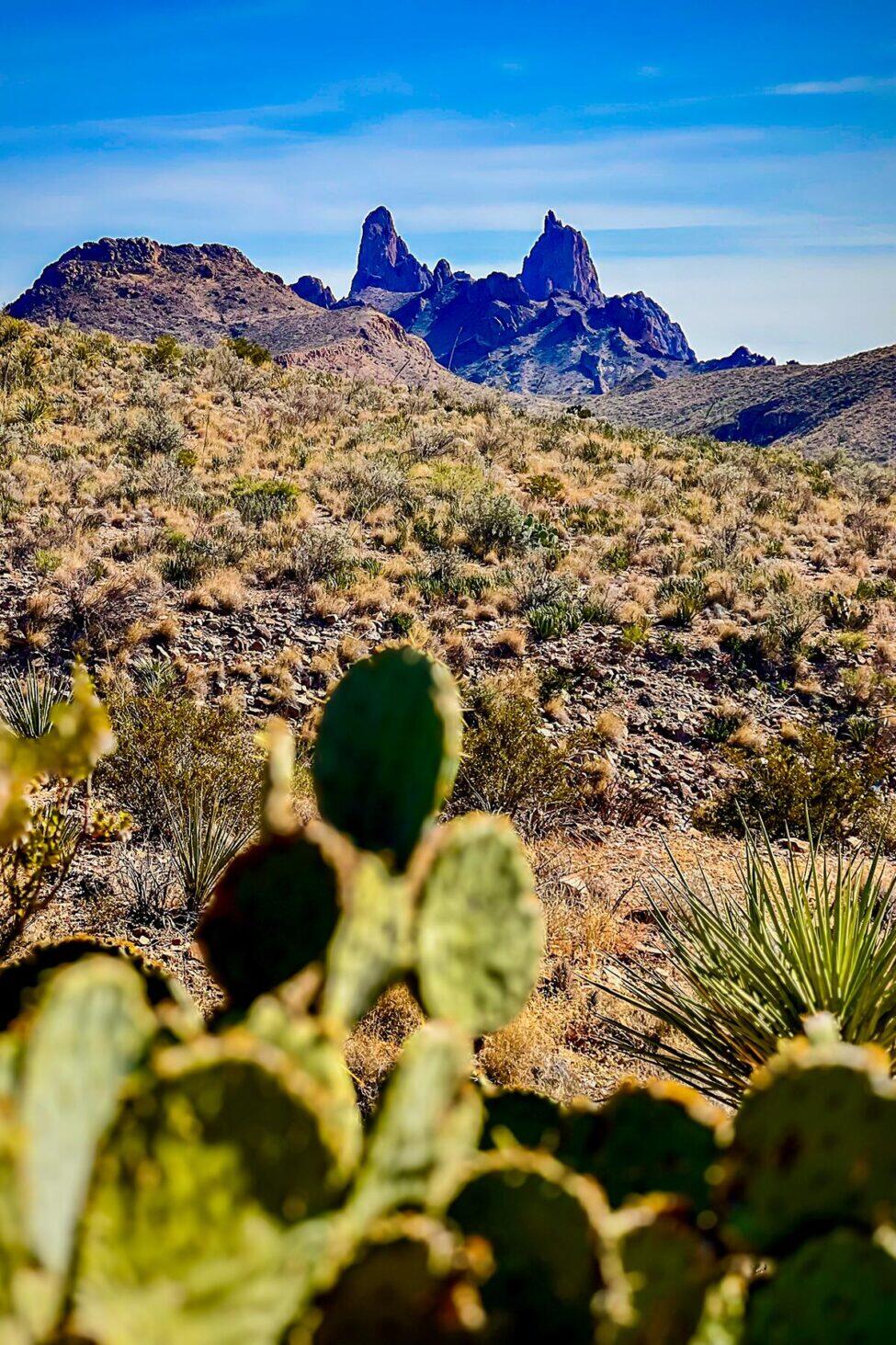 What to See and Do in Marathon, Texas